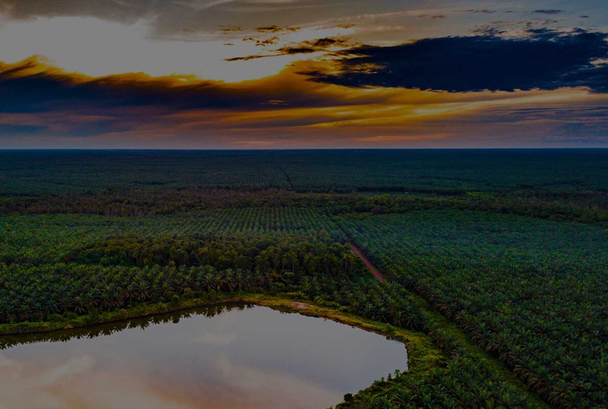 Sectors | Diversified Conglomerate Sri Lanka | Carson Cumberbatch PLC